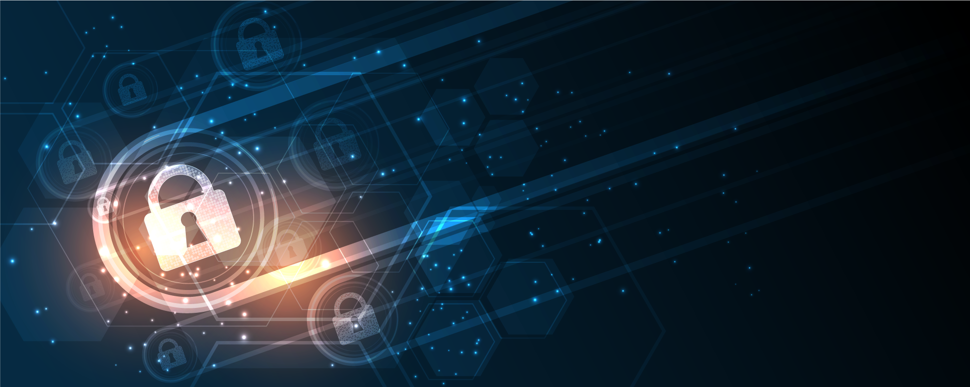 Privacy Policy - Enterprise Software Systems